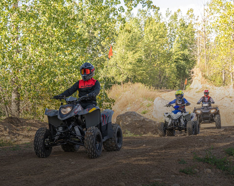 Polaris United Kingdom: Phoenix 200